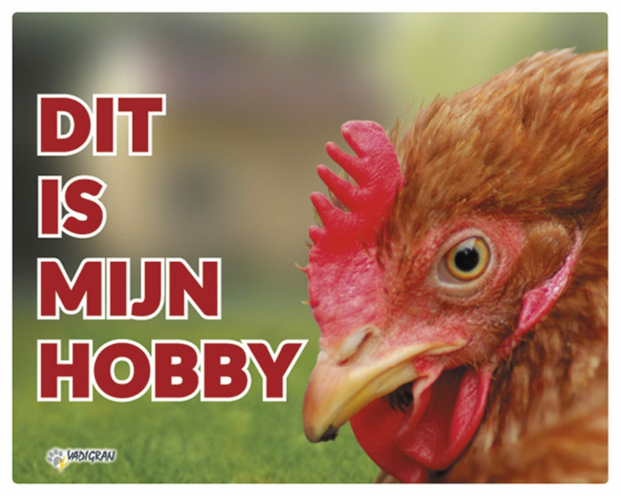 Waakbord Foto Kip Kop NL | Bopets